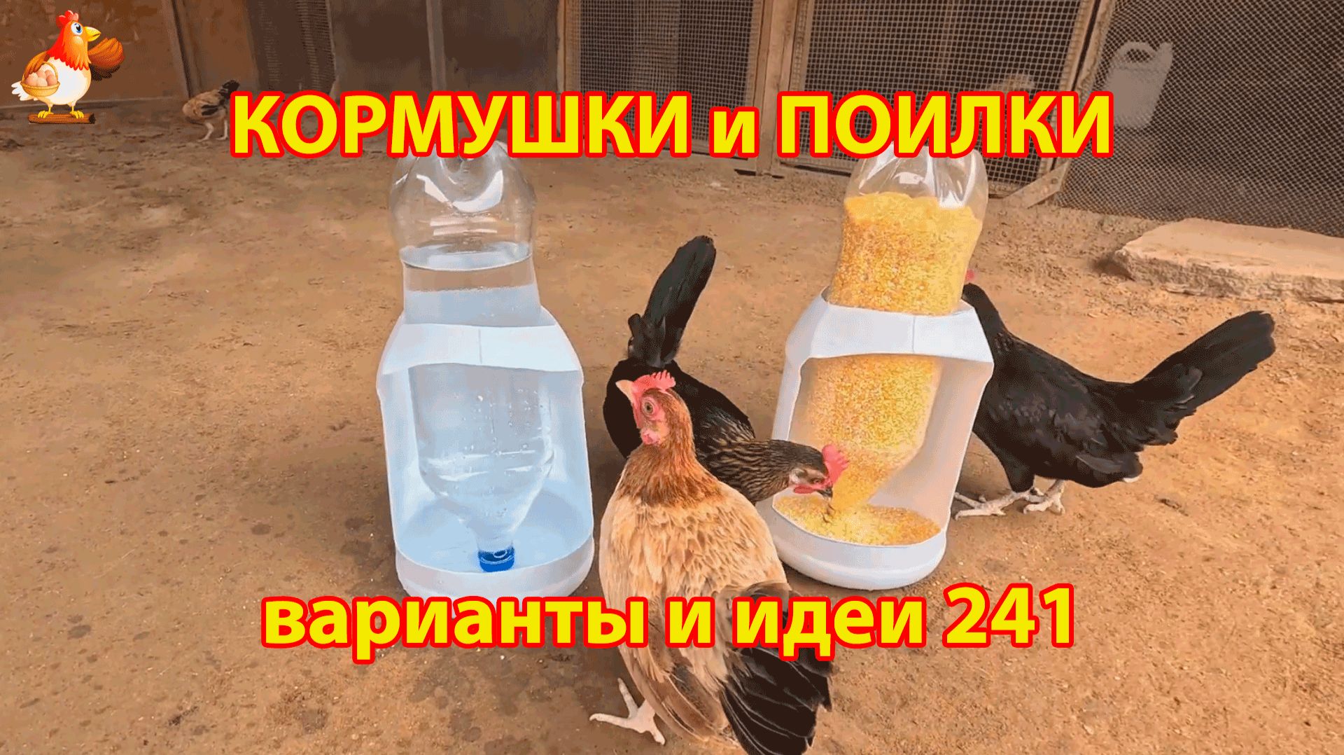 Кормушки и поилки для кур своими руками 241 🪚✂️ Пошаговая инструкция как сделать 🐔 🐓❣️