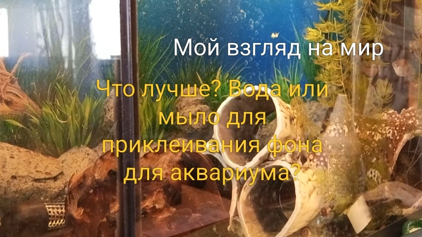 Что лучше? Вода или мыло для приклеивания фона для аквариума? 24-03-2026