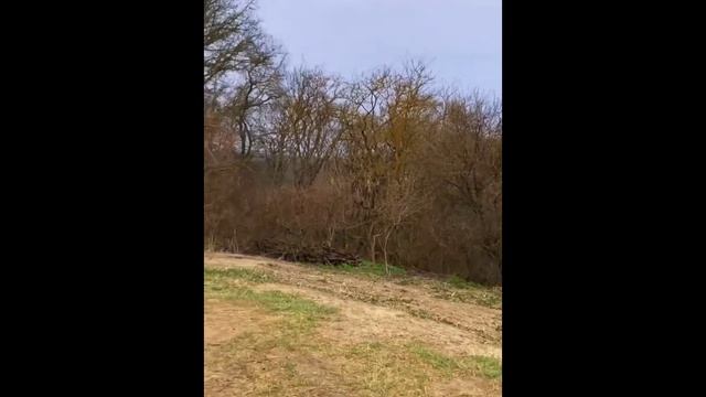 Купить участок в х. Школьный, Крымский район| Переезд в Краснодарский край