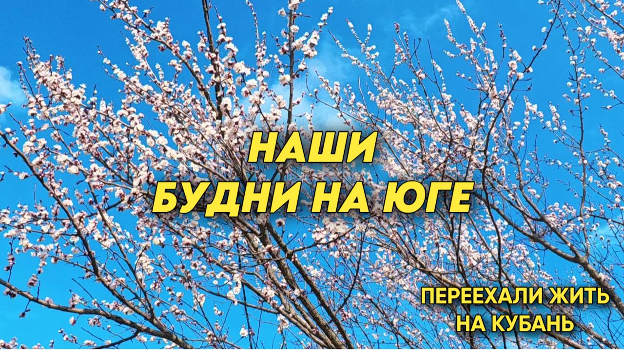 1111 Как мы живём на Кубани/Приготовила блинчики с творогом/Переехали с Урала на юг