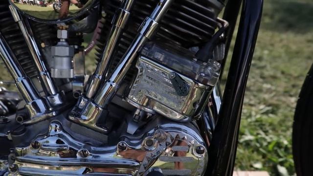 (Почти) каждый чоппер в Born Free — это кастомный мотоцикл стоимостью от 15 до 130 тысяч долларов