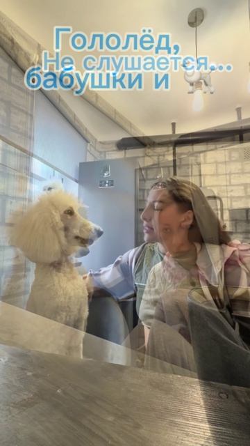 разговорчивый пудель