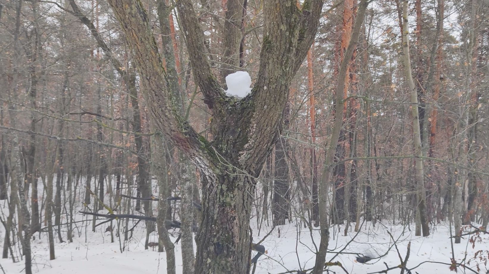 Весна идёт!!!