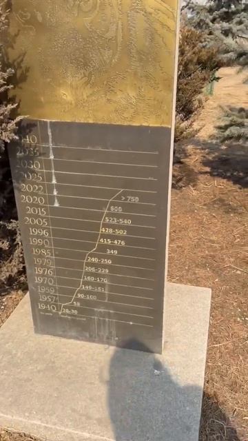 Динамика популяции численности амурского тигра на Дальнем Востоке РФ