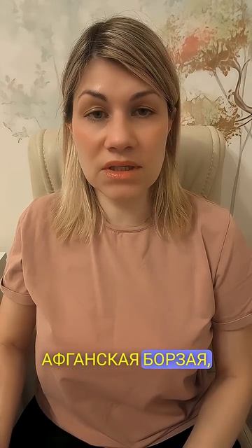 Весы. Знаки зодиака и домашние животные