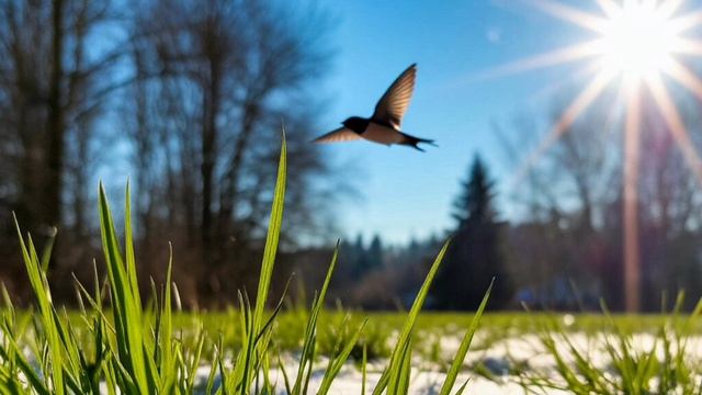 Травка зеленеет (Лёва)