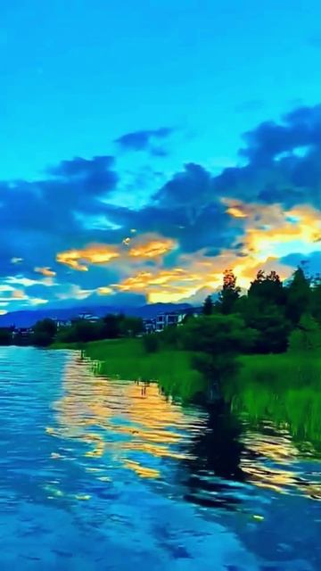 Расцветают твои цветы