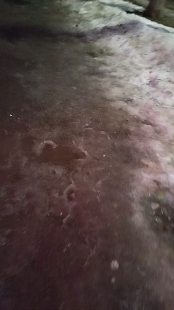 №1860 ул. Газеты Звезда. 22 марта 2026 г., 21:07:49 VID_20260322_210641018