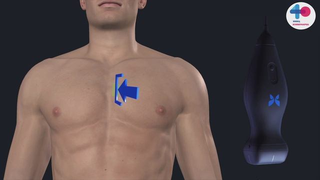 HOW TO волемич статус Верх Пол Вена Щепарев И.С.