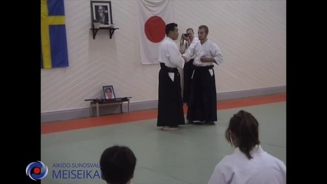 6.Aikido How To Enter Against TsukiPunch, Shishiya Sensei Sandviken