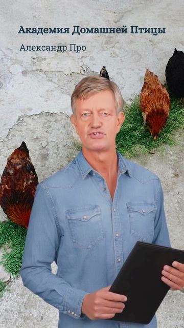 Кто я и зачем этот канал? | Александр Про | Академия Домашней Птицы