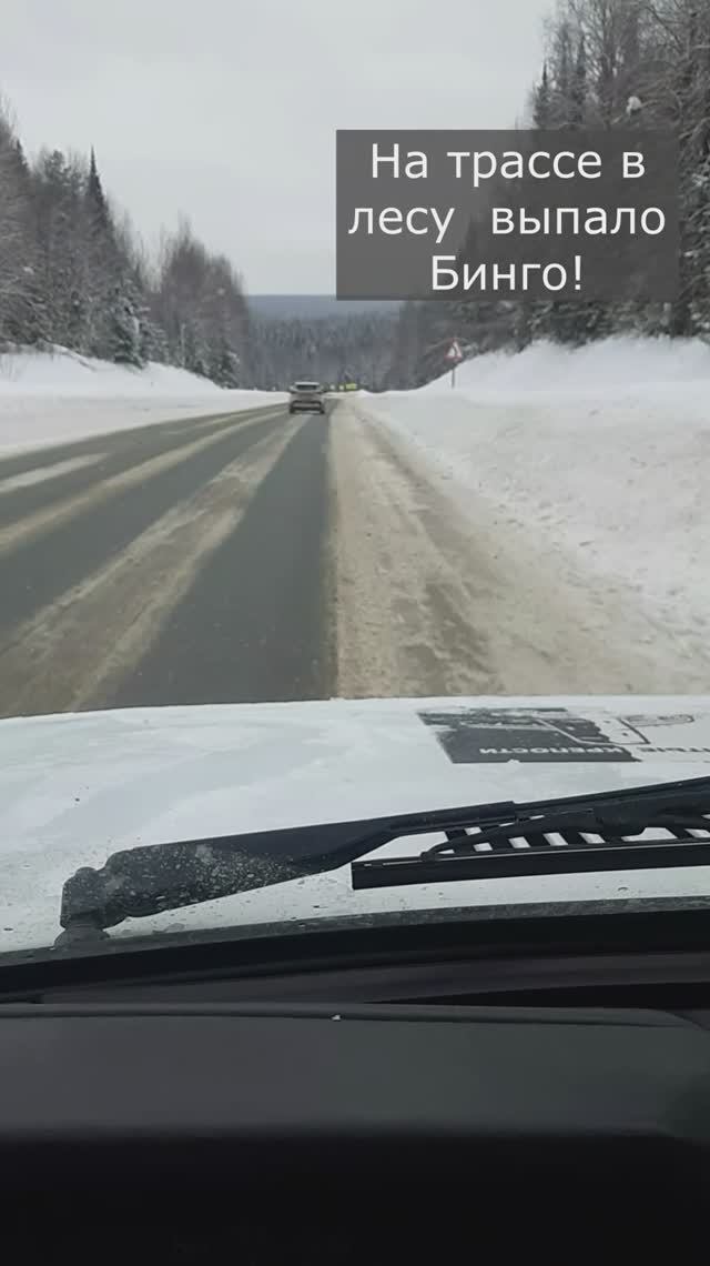 Внезапно на трассе в лесу выпало Бинго!
