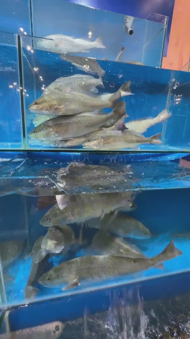 Ресторан вьетнамских морепродуктов Нячанг Вьетнам 2026