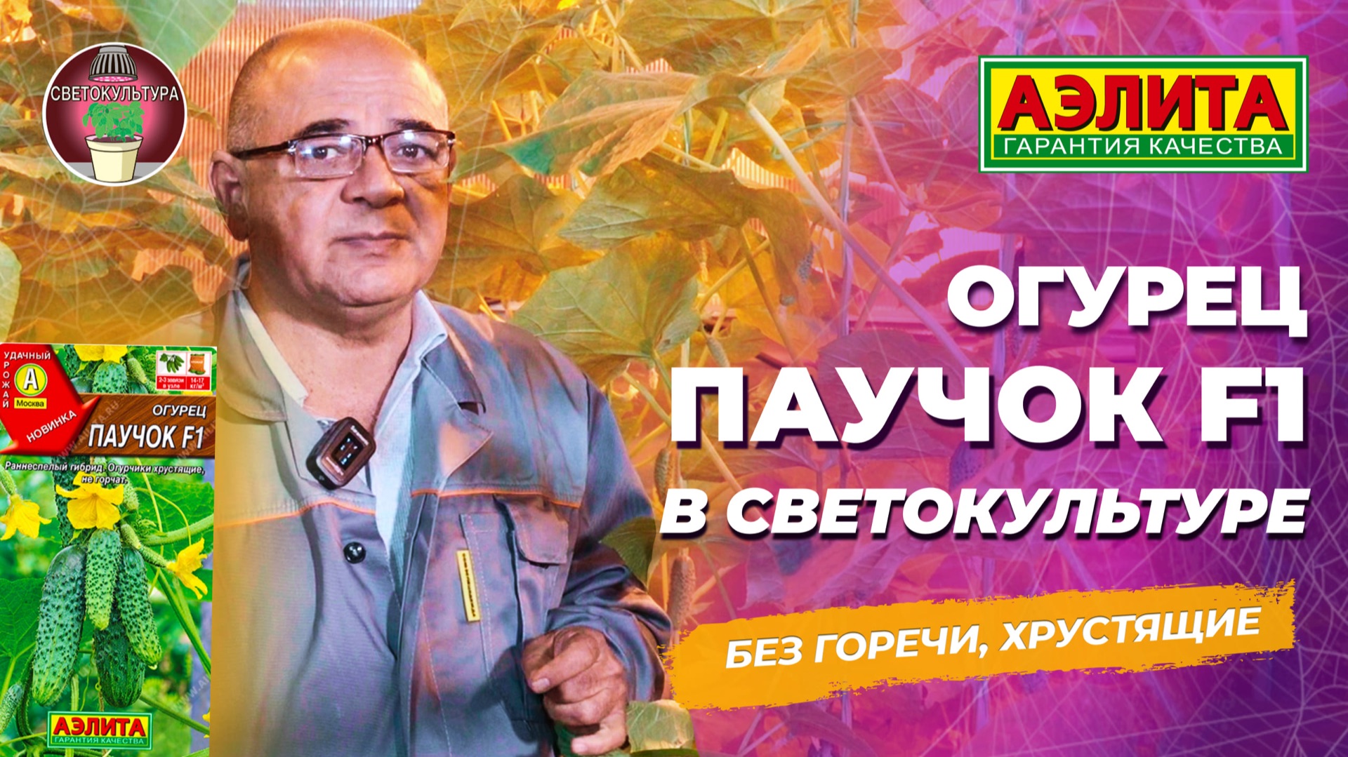 Огурец ПАУЧОК F1 в СВЕТОКУЛЬТУРЕ