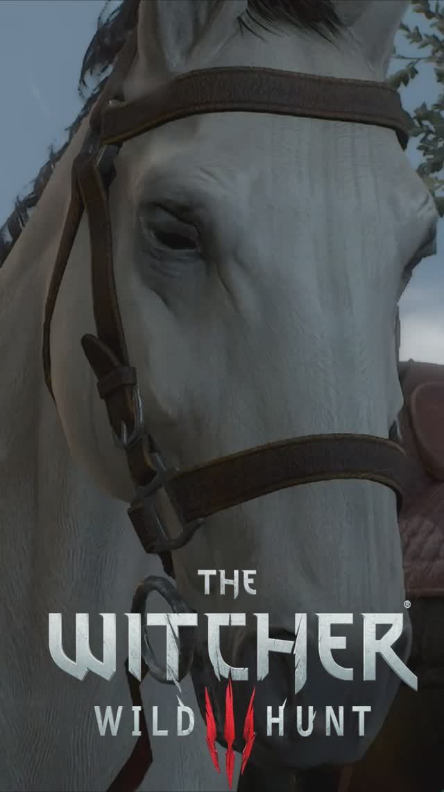 Стараюсь не падать. Геральт о Плотве и езде The Witcher 3 - Wild Hunt