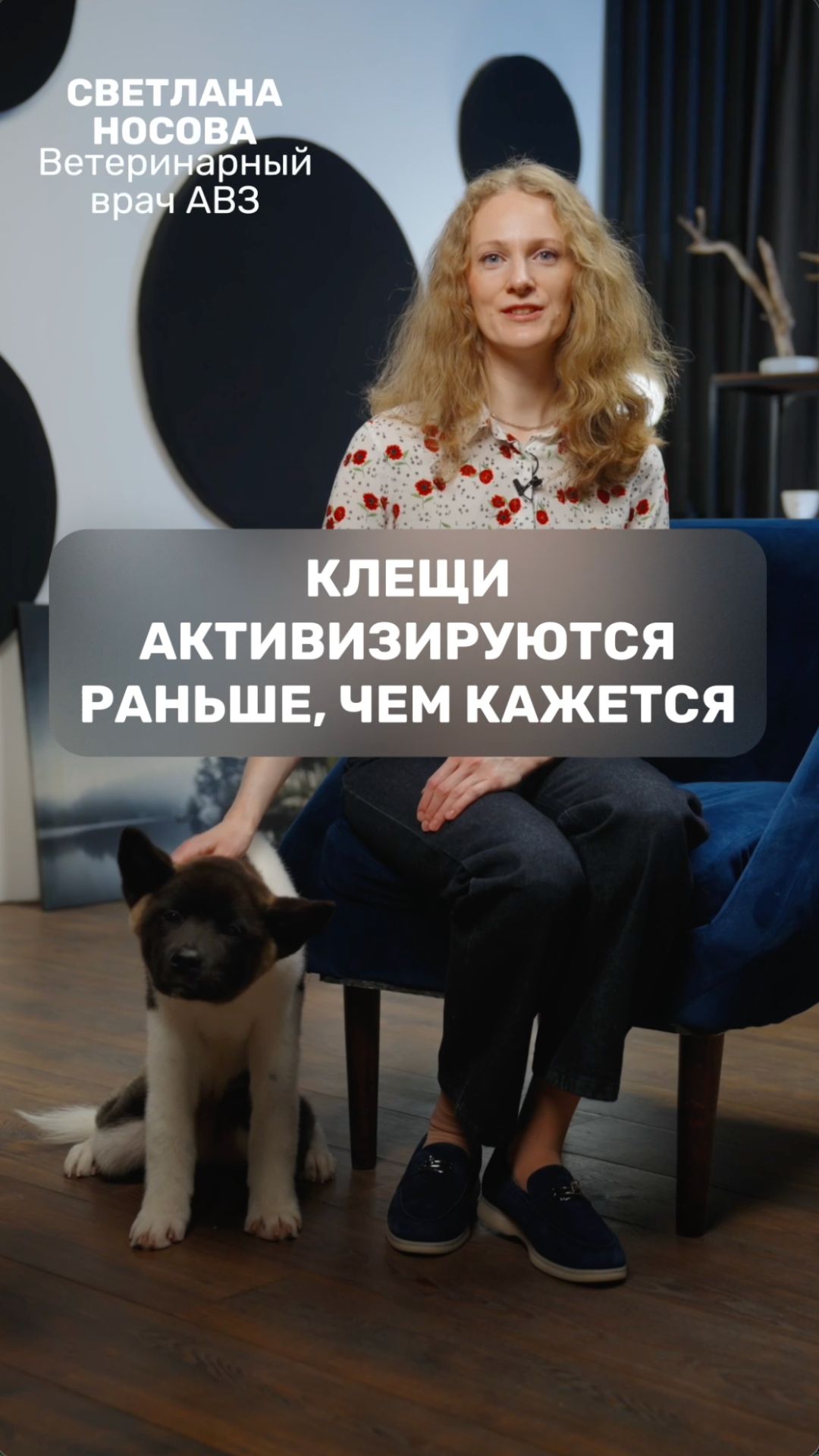 Клещи активизируются раньше, чем кажется