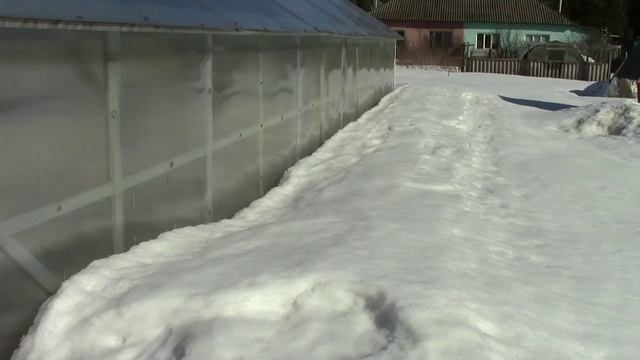 Муромцево 24 марта 2026г  Дела виноградаря