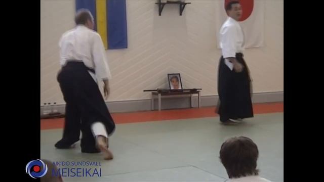 17.Aikido Yokomen Uchi Kotegaeshi, Shishiya Sensei Sandviken