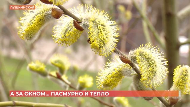 А за окном. 24 марта 2026
