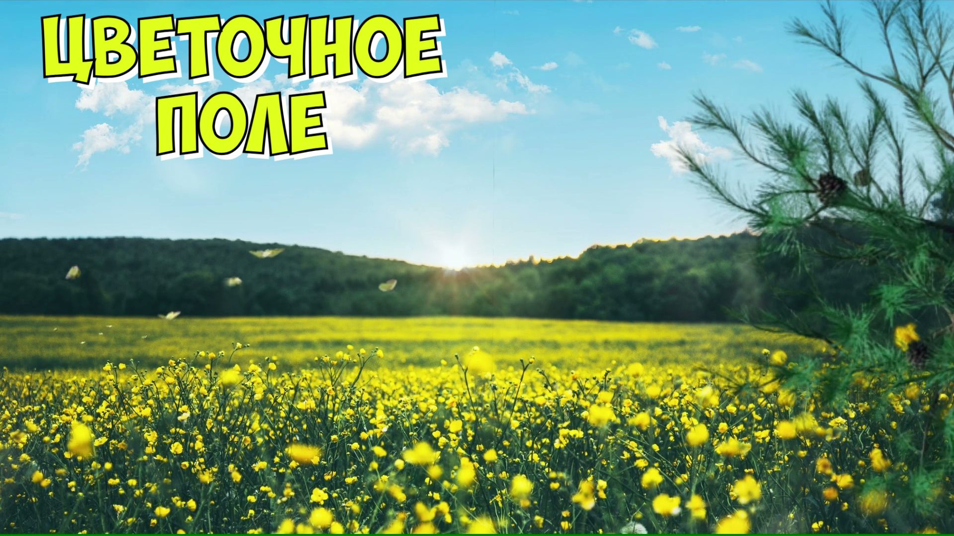 Спокойная музыка для отдыха и сна, relax music