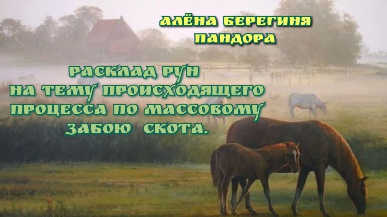 Расклад Рун на актуальную тему.