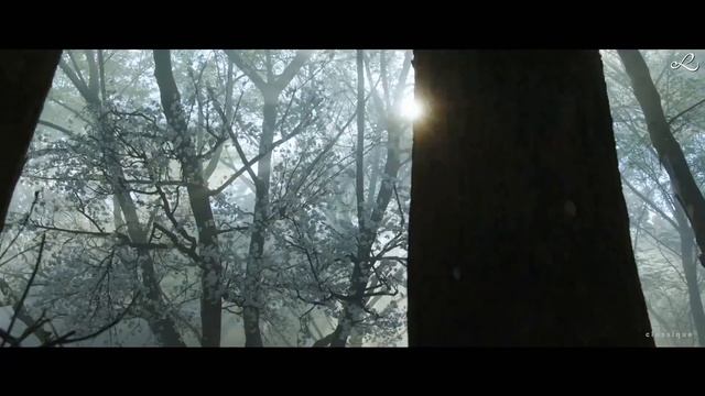 1080p_Чжун_Чэнь_Лэ_Живи_и_люби_караоке_OST_Двойник