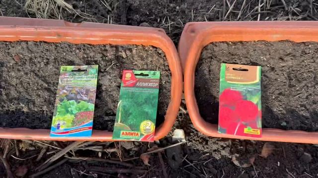 Как я сажаю раннюю зелень. 23 марта 2026