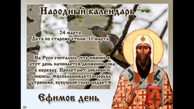 24 марта Что можно делать, а чего нельзя