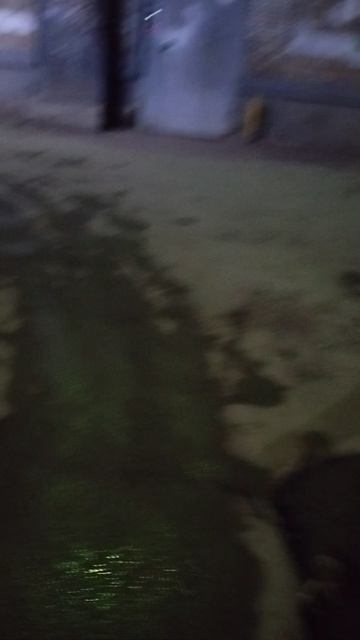 №1849 Двор Г. Звезда 73-Красноармейская 52 22 марта 2026 г., 20:39:51 VID_20260322_203911146