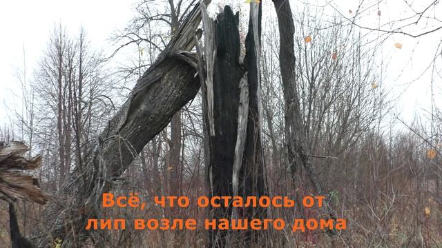 По октябрю - 2019. Четвертая часть - Редькино, река Ошма