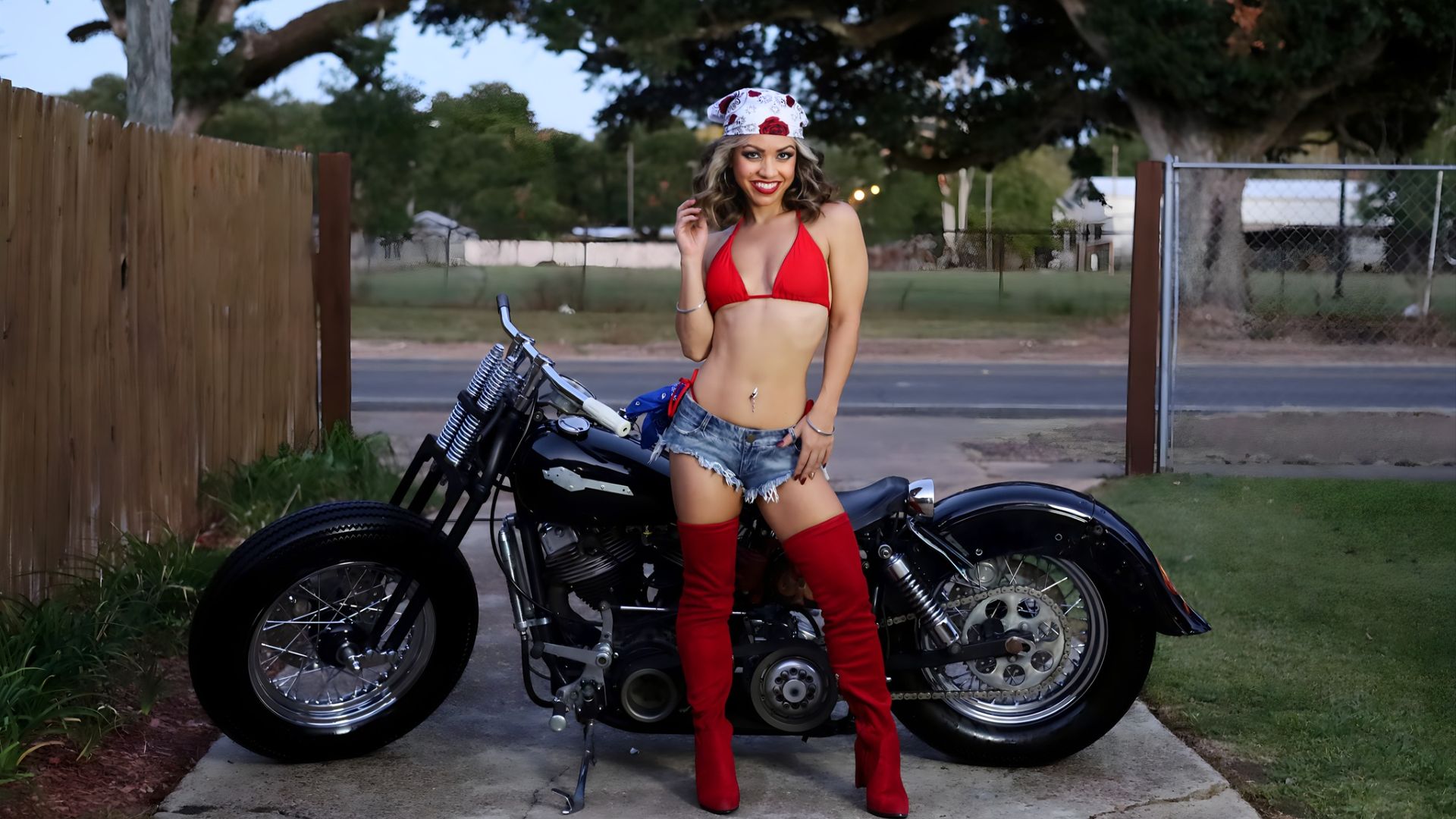 Tina Turner ~ Acid Queen