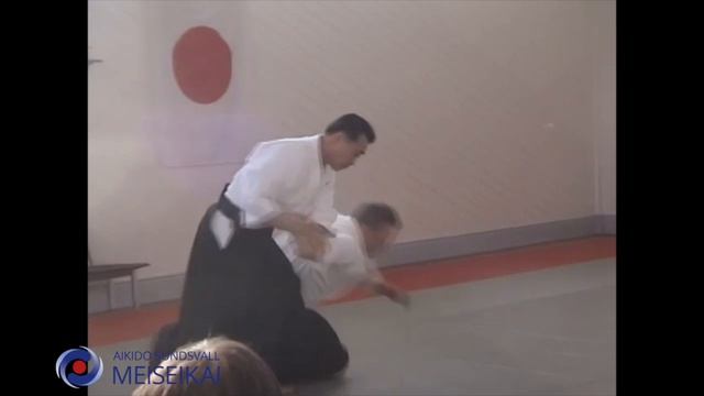 12.Aikido Yokomen Uchi Nikyo, Shishiya Sensei Sandviken