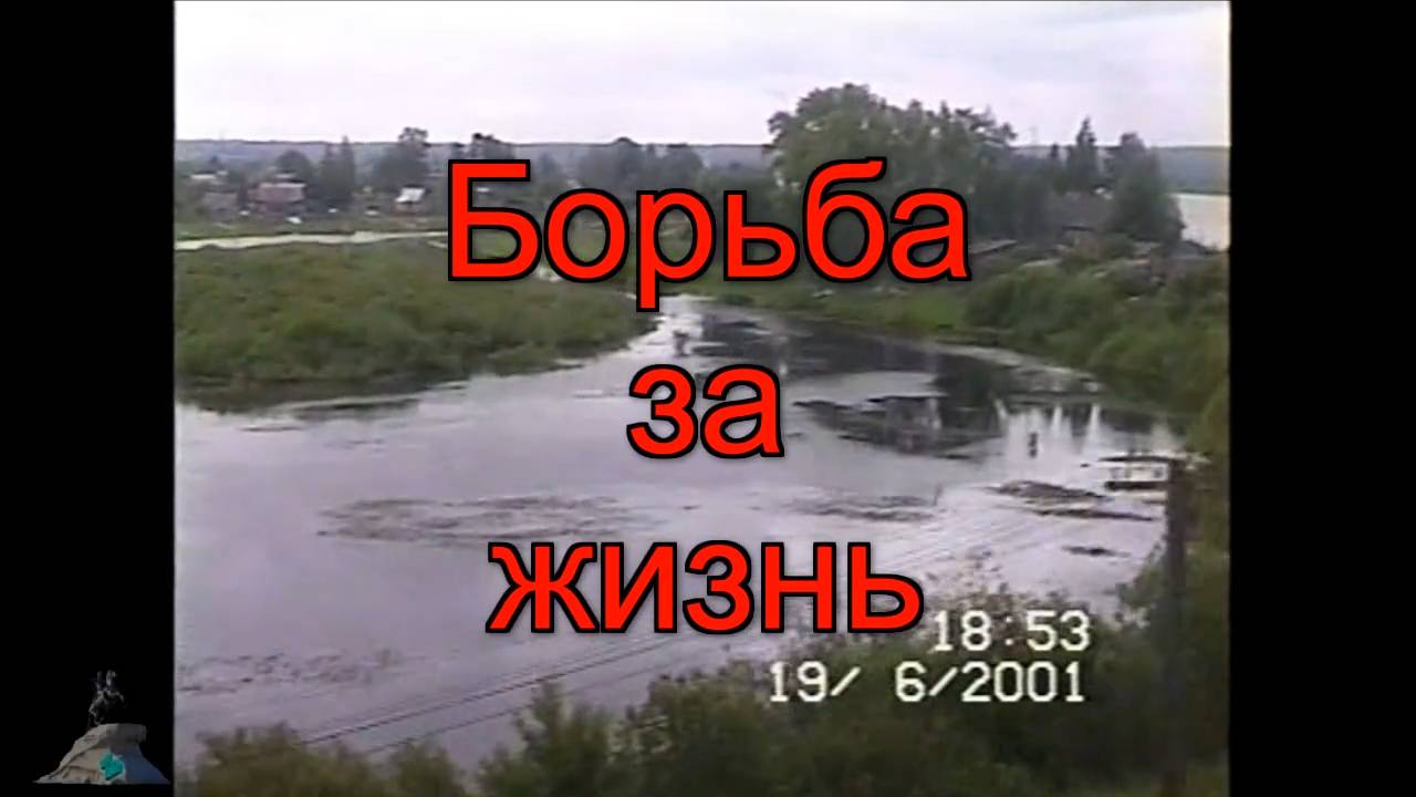 Борьба за жизнь