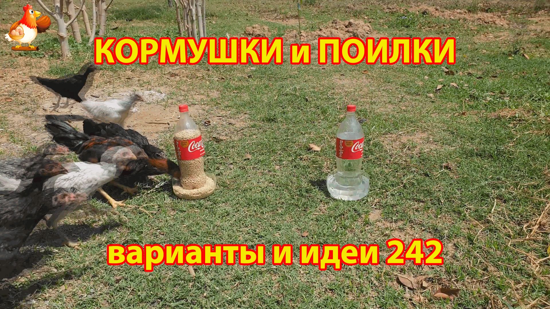 Кормушки и поилки для кур своими руками 242 🪚✂️ Пошаговая инструкция как сделать 🐔 🐓❣️