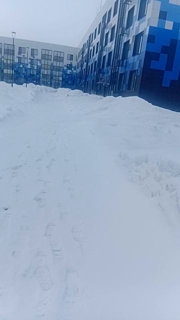 снегу опять навалило