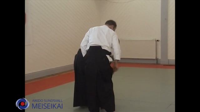 7.Aikido Yokomen Uchi Taiotoshi, Shishiya Sensei Sandviken