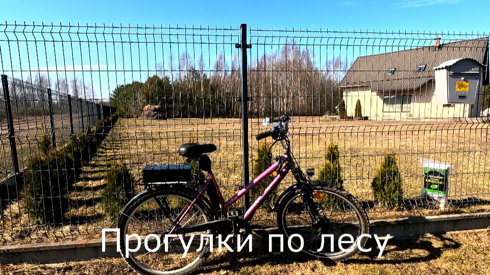 Прогулки по лесу. Особенности работы фотоловушки с солнечной панелью.