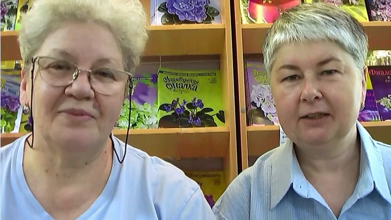 ДФ. "Сенполии трейлеры".