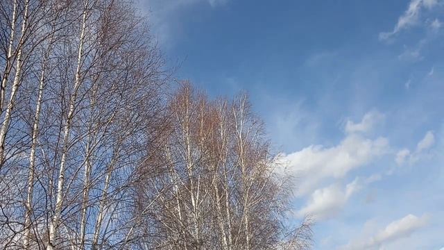 Екатеринбург. Озеро Шарташ