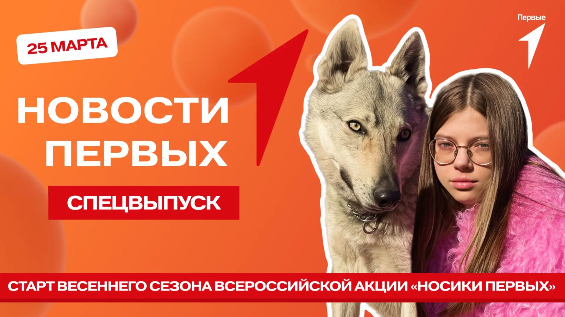 «Новости Первых»: Всероссийская акция «Носики Первых» | Питомцы Первых