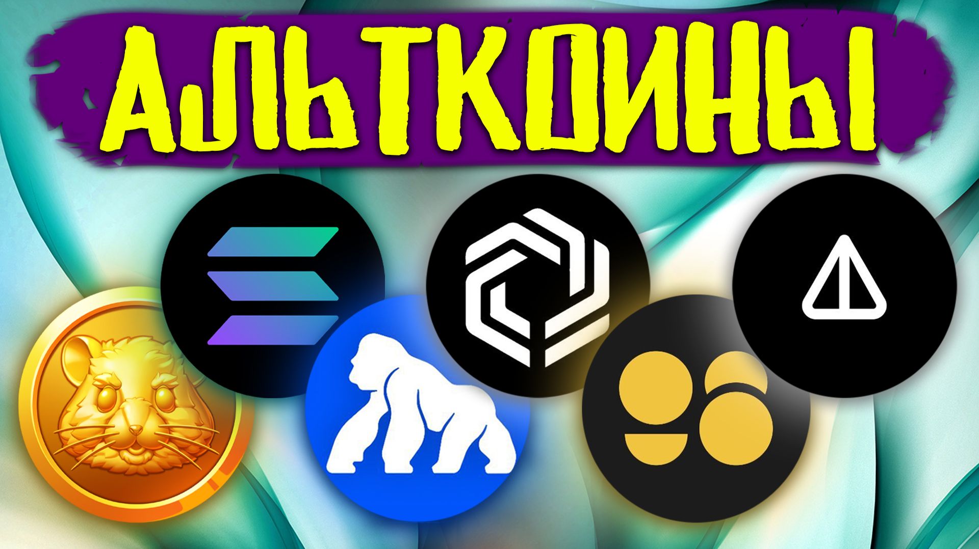 Альткоины которые дадут иксы! Разбор монет: SOL HMSTR NOT C98 DOGS IMX APE
