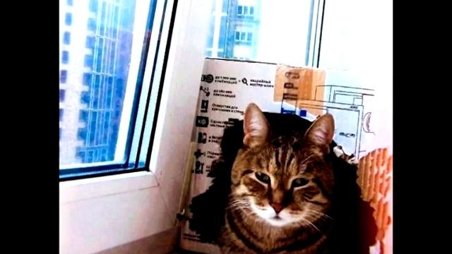 Отвёртка.  Поём и шутим. Песни на стихи Раисы Йилдырим