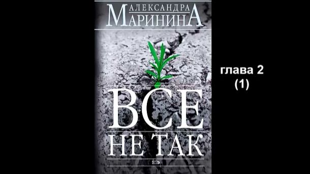 А. Маринина_Все не так_глава 2 (1)