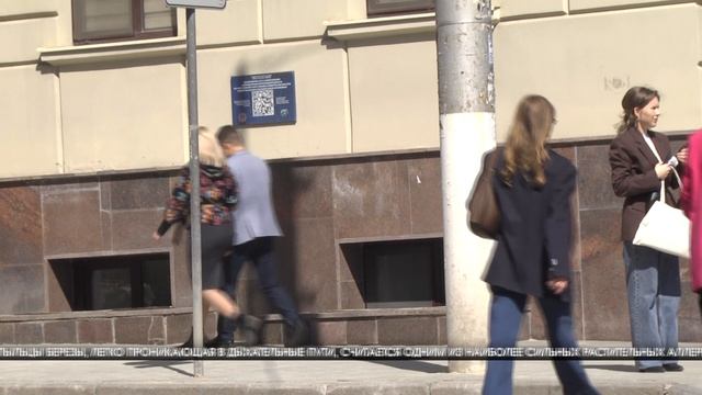 В Волгограде начинается сезон аллергии на пыльцу березы