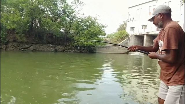 ЛОВЛЯ Крупной Мощной рыбы РОХУ на рисовую муку.