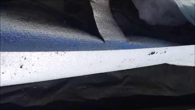 Открытие винограда весной в условиях Сибири. Марценюк Надежда