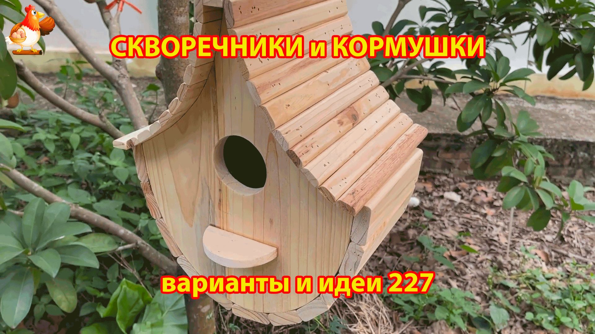 Скворечники и кормушки своими руками для птиц (227) 🪚🪛🔨 Идеи для дачи и сада пошагово ❣️