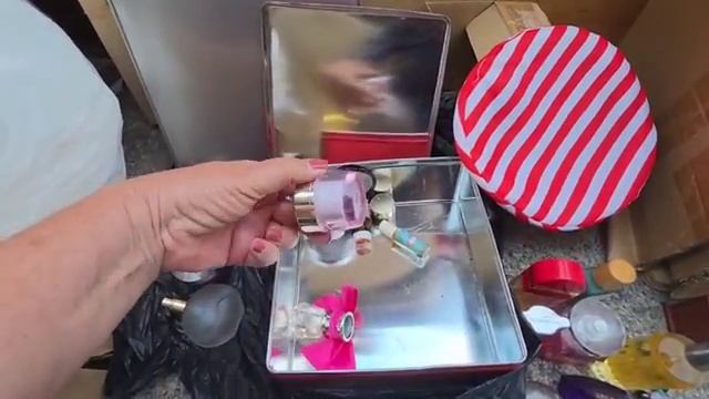 Элла Австралия /Я ОбАлДеЛа Нашла сумку и коробку на свалке  Не свалка а антикварный магазин Dumpster