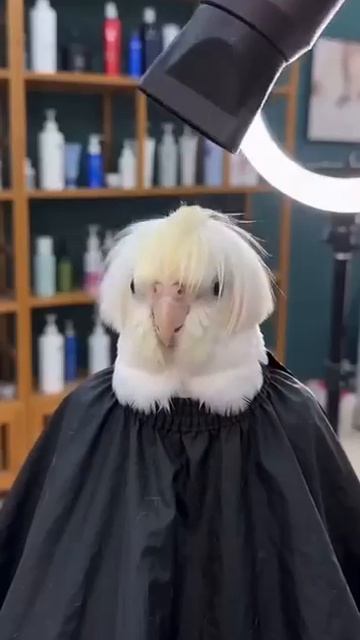 ОДНО ВИДЕО — МИЛЛИОН РЕАКЦИЙ 😍 Самый вирусный момент 🔥 Хит 2026