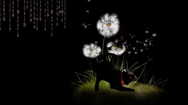 Колокольчики и ветер